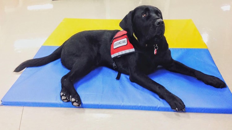 Rescue and Jessica: A Life-Changing Friendship | cbs8.com