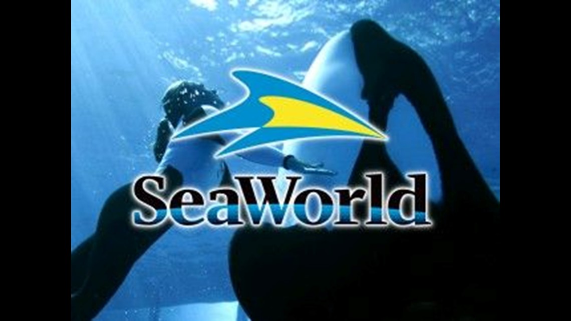 New partnership to bring kids' character "Franklin" to SeaWorld | cbs8.com