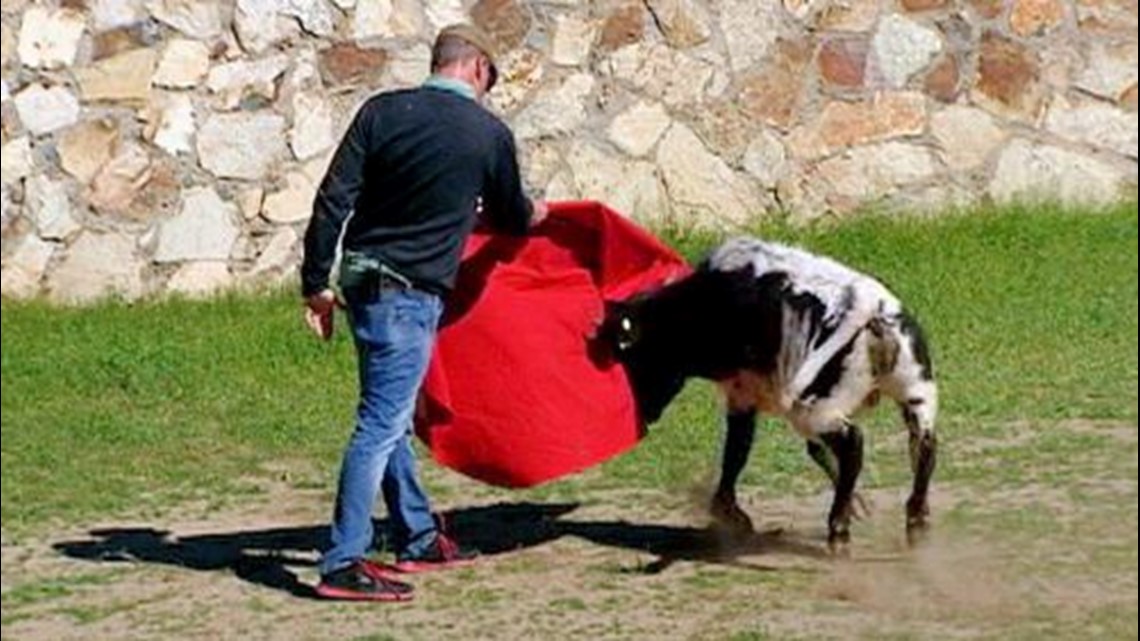 San Diego bullfighting school caters to adventurous Americans | cbs8.com
