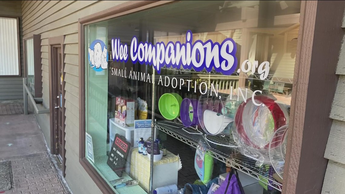 Wee Companions: Animal shelter makes a big deal out of little pets ...