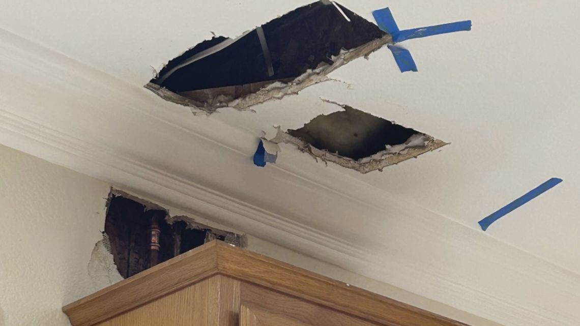 State Farm denies water leak damage claims in San Diego | cbs8.com