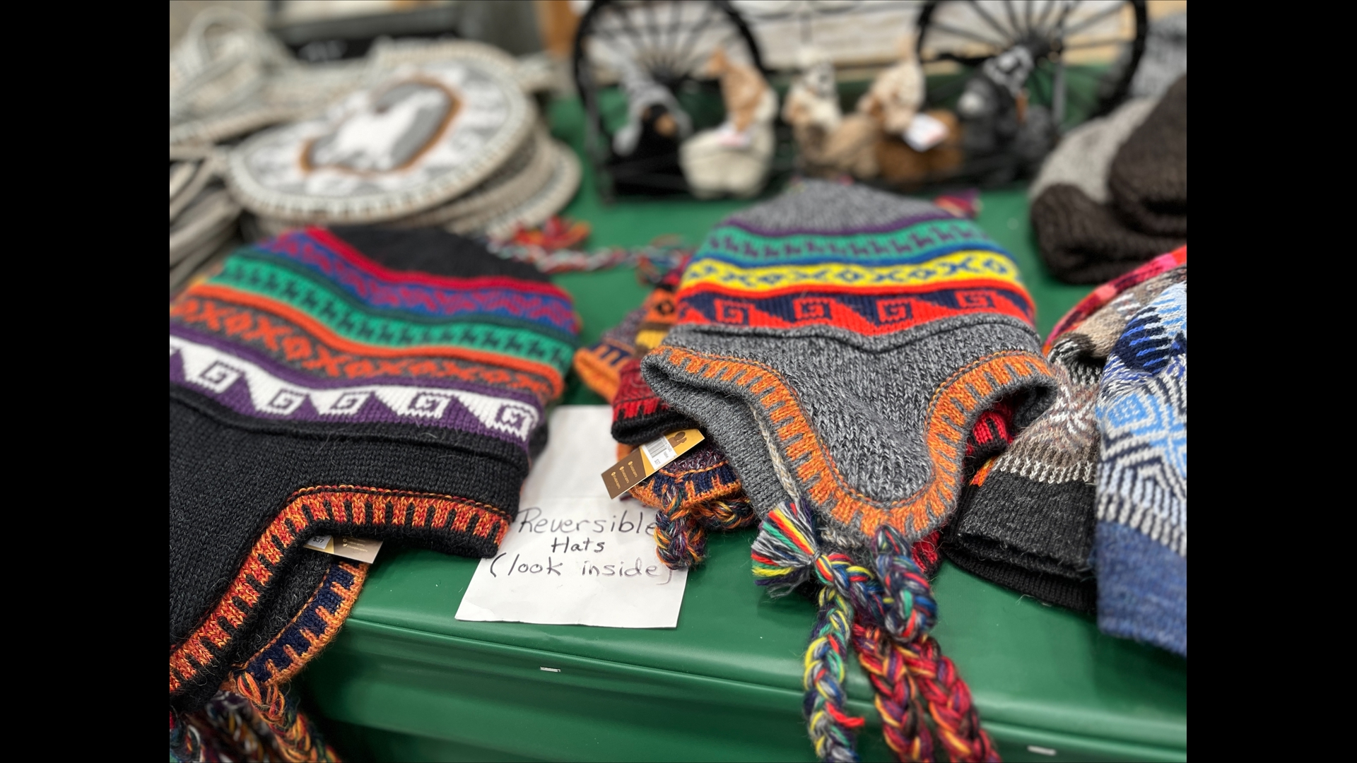 Alpacas at the San Diego County Fair | cbs8.com