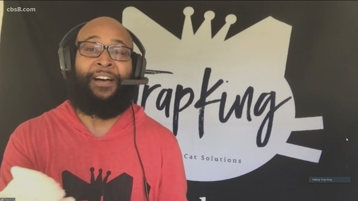 Rapper turned trapper talks all things cats | cbs8.com