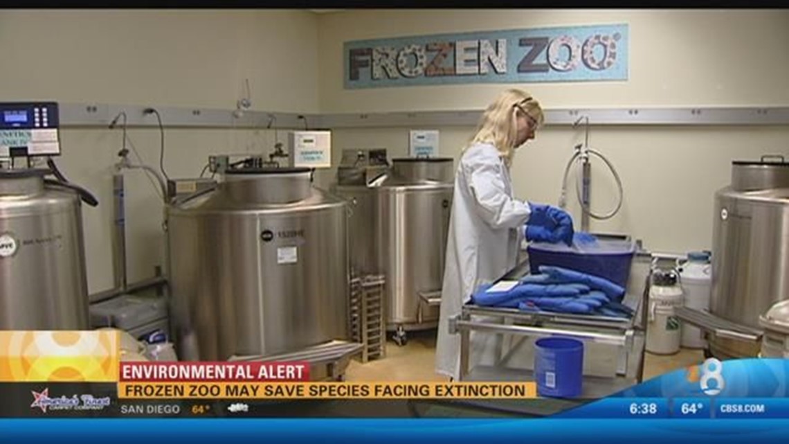 Frozen Zoo aims to save endangered species | cbs8.com
