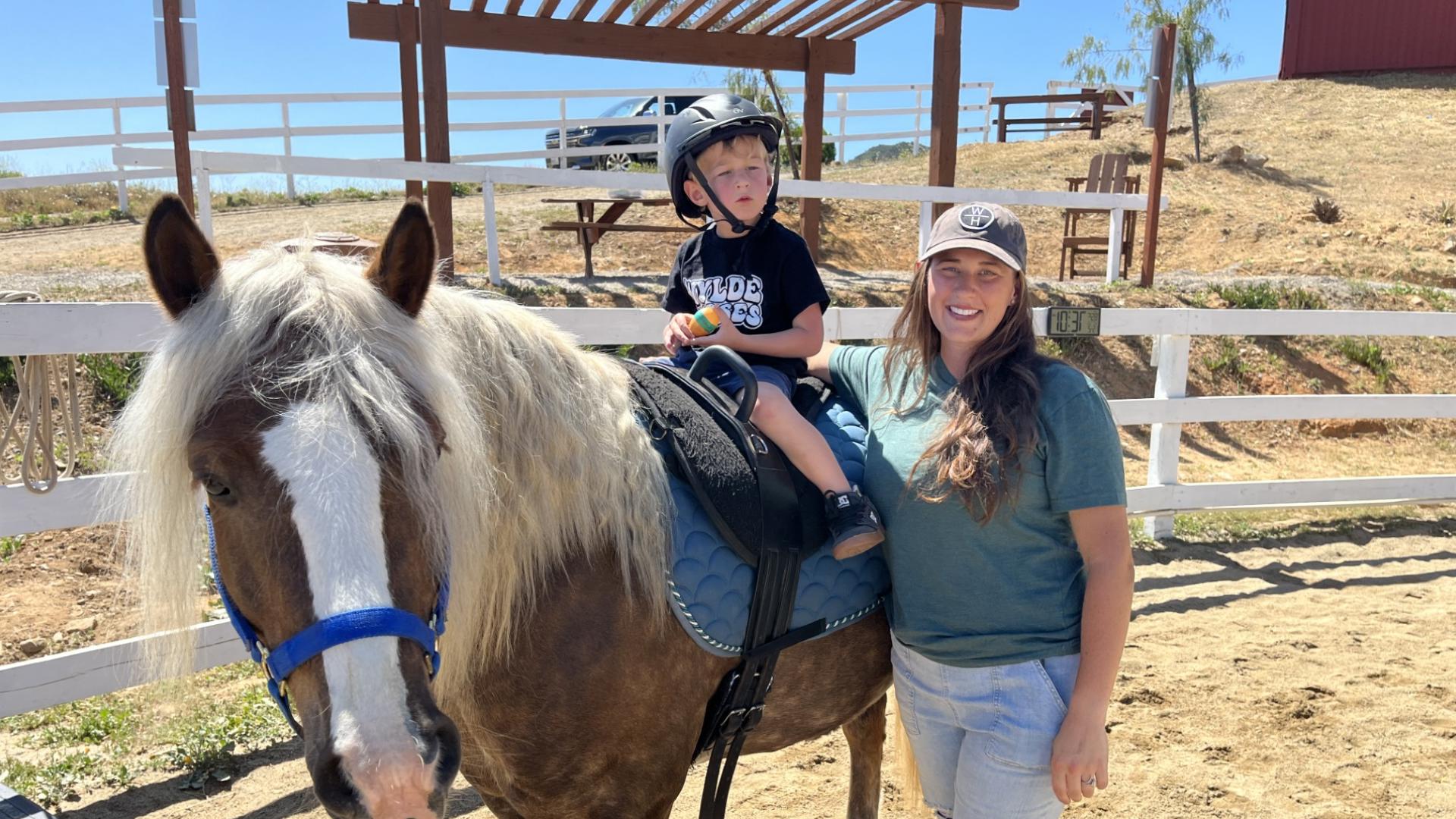 Valley Center horse ranch seeking volunteers | cbs8.com