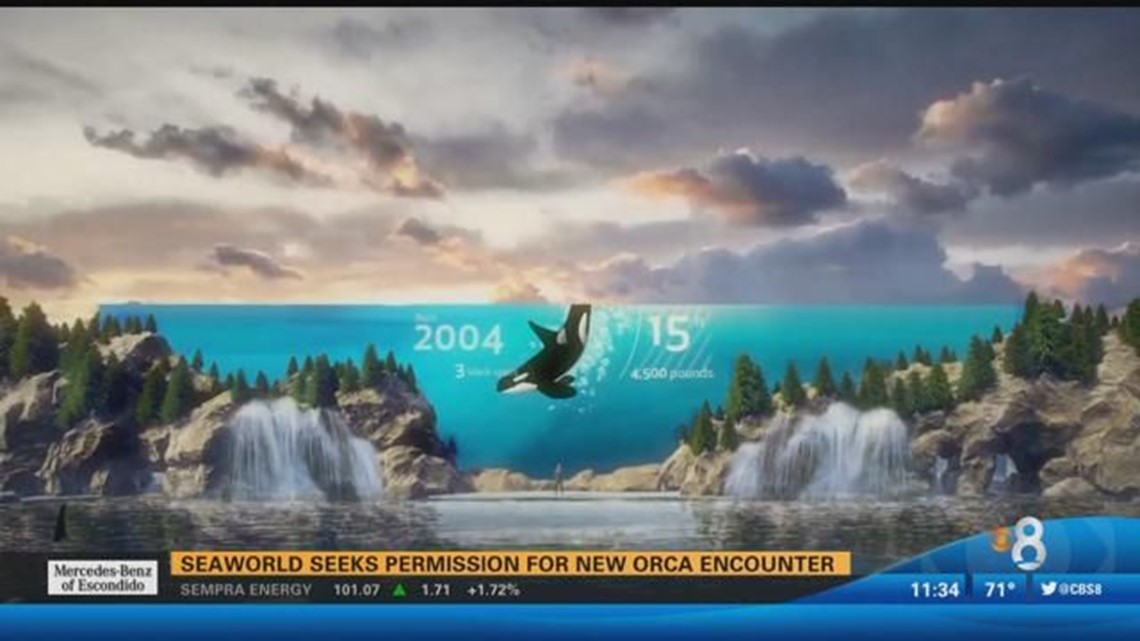 SeaWorld seeks permission for new orca encounter | cbs8.com