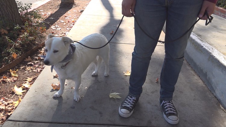 Arrest made in fatal North Park hit-and-run | cbs8.com