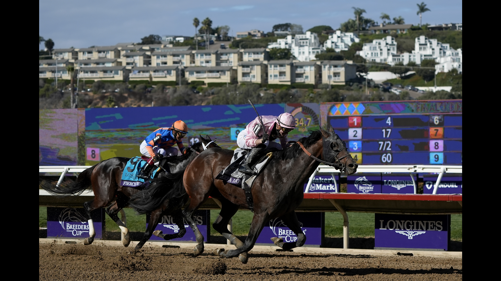 Sierra Leone wins $7 million Breeders' Cup Classic | cbs8.com