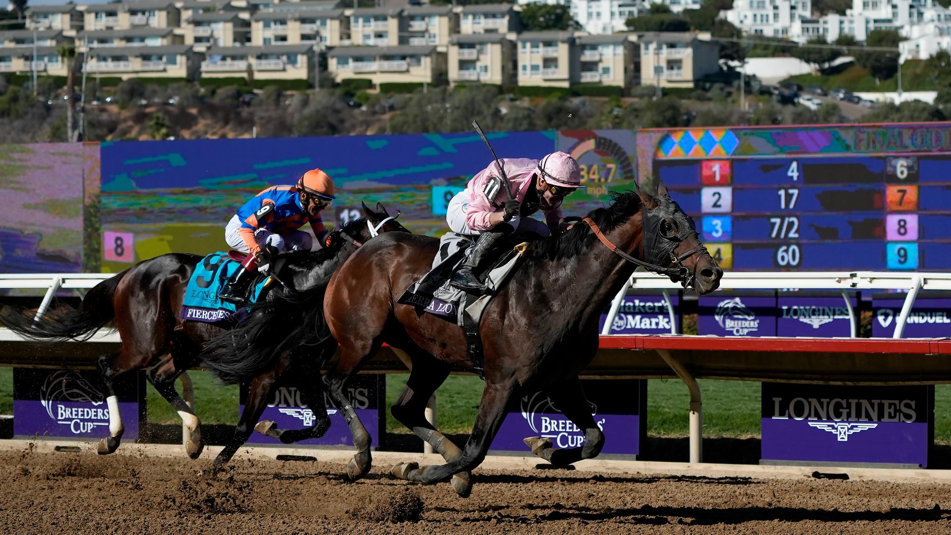 Jade Janks sentenced to 25 years to life in prison for murder of stepfather | cbs8.com