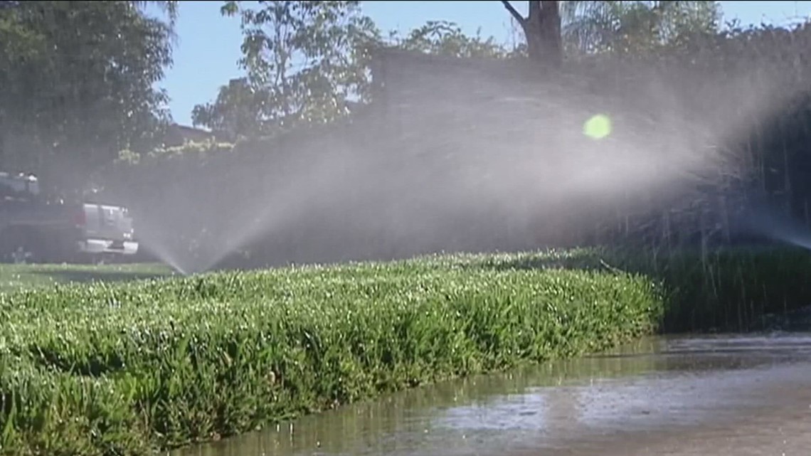 Water billing woes reported on by CBS 8 cited by city council | cbs8.com