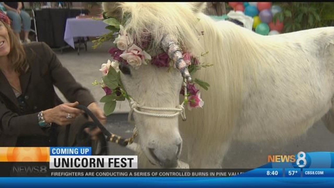 Magical makers meet up for Unicorn Fest | cbs8.com