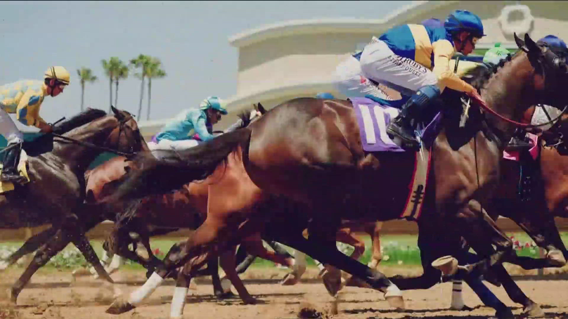 Del Mar Race Track, Races, Opening Day, Hats, Fashion, Horse Racing ...