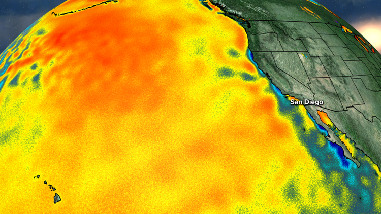 Protecting Paradise: Marine heatwave called the ‘blob’ causing concern ...