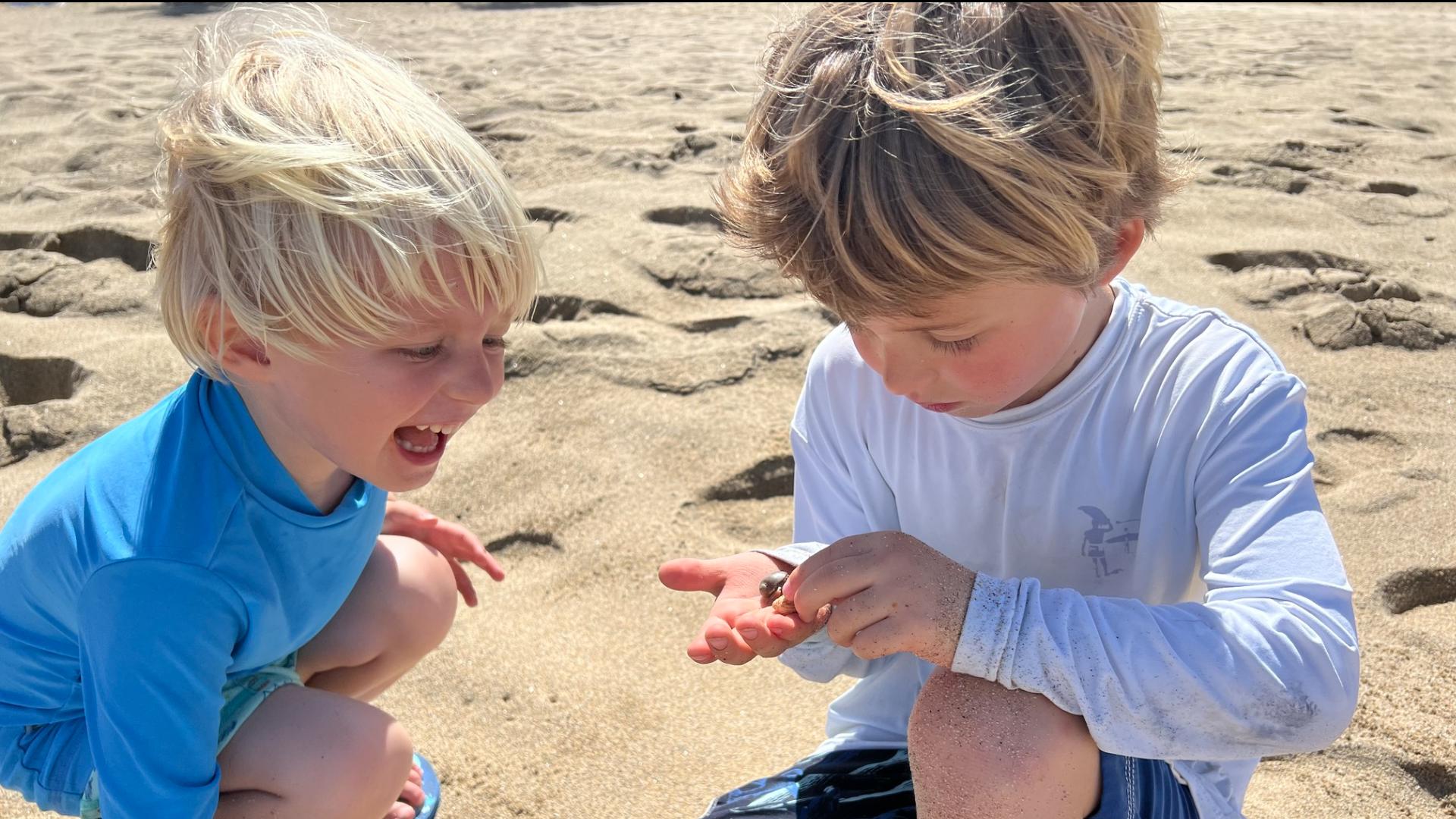 USD professor goes viral teaching physics on social media | cbs8.com