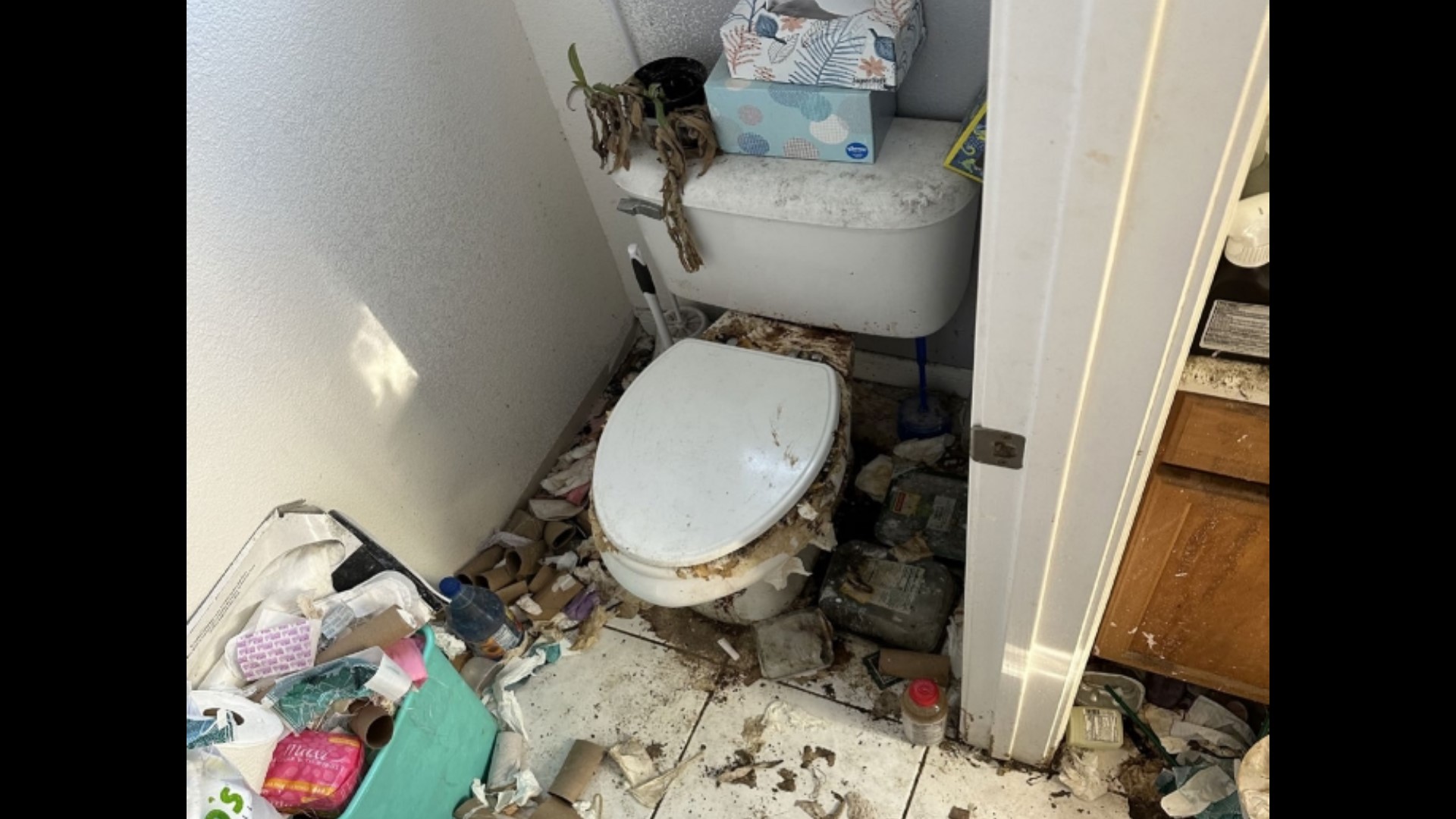 A look inside San Diego hoarder home on Mariner Drive | cbs8.com