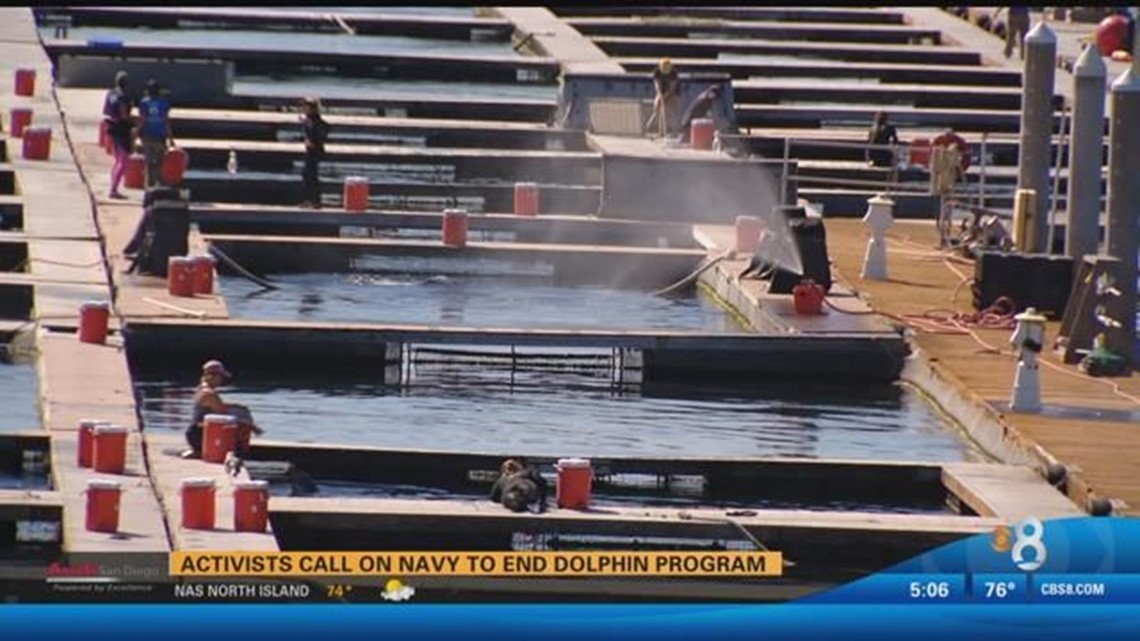 Activists call on U.S. Navy to end dolphin program | cbs8.com