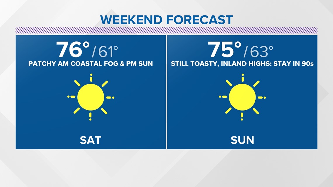 Five 'Magic Words' that will solve Wordle each time | cbs8.com