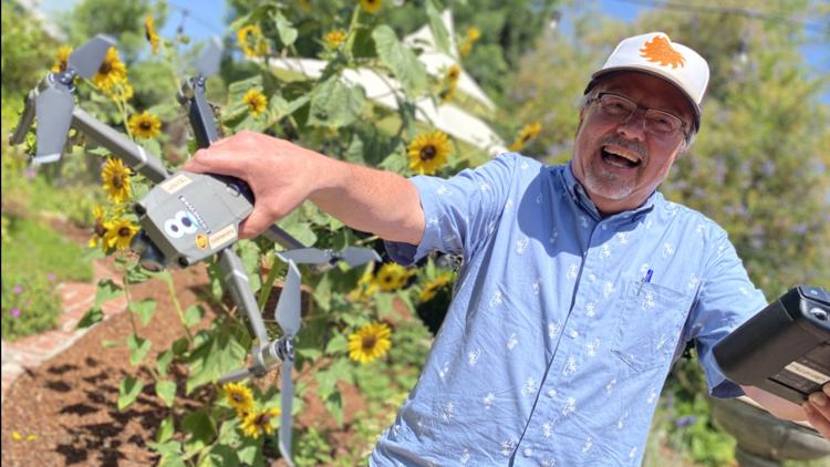 Miracle Grow: The sunflower nobody planted keeps growing | cbs8.com