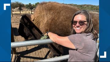 Alpine 'Organic Garden' fights inflation feeding rescued animals | cbs8.com