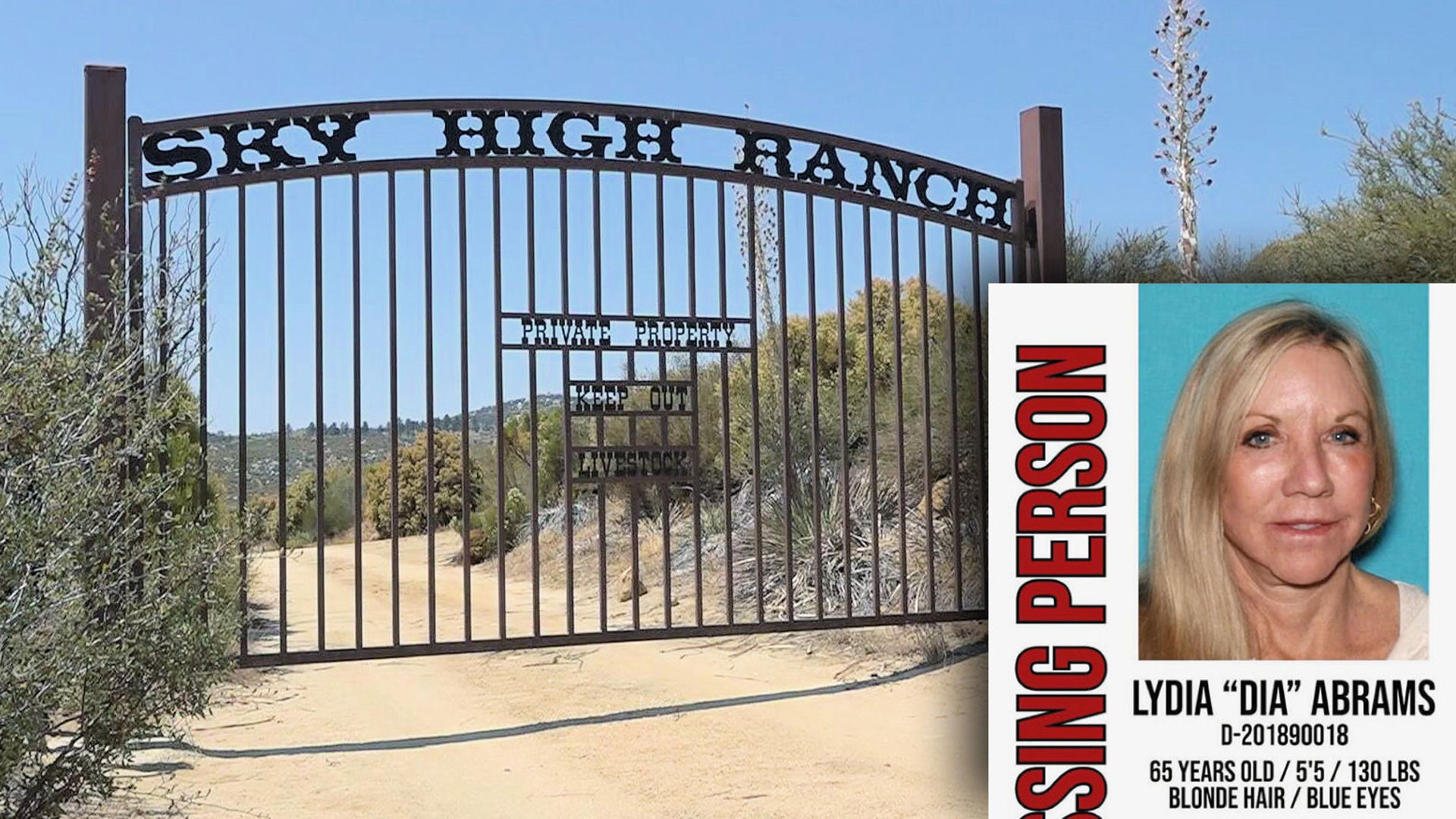 Missing woman, Dia Abrams Mountain Center, CA property to be sold ...