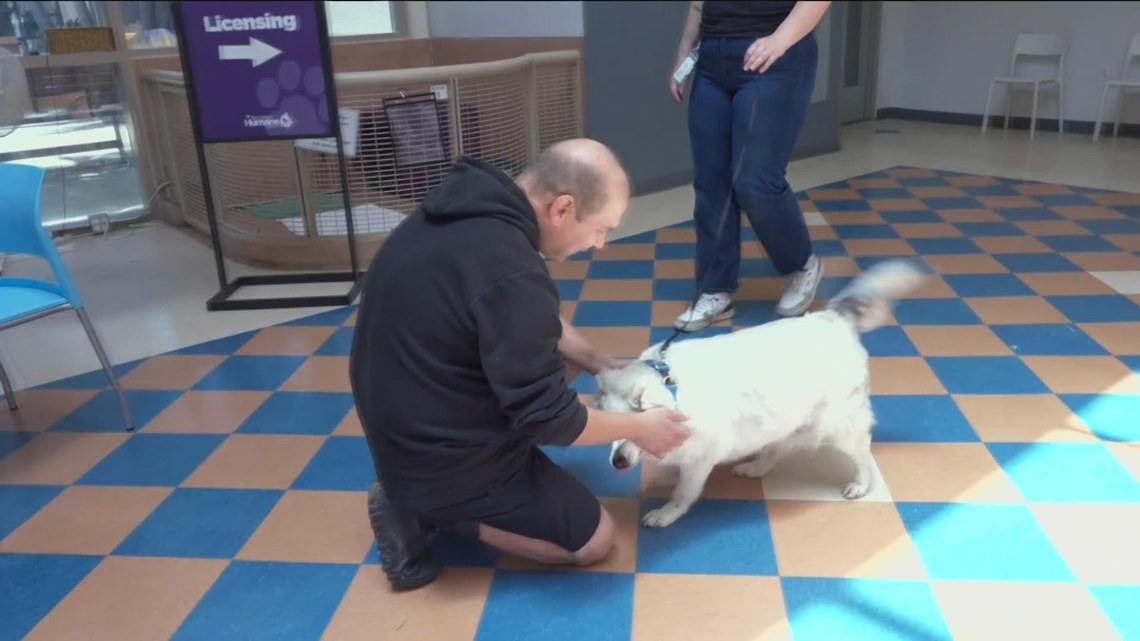 San Diego Humane Society rescues 40 pets after plane crash | cbs8.com