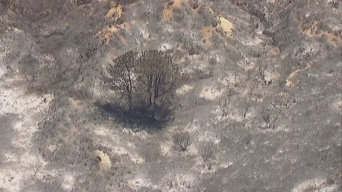 Above Del Mar one day after brush fire erupted | cbs8.com