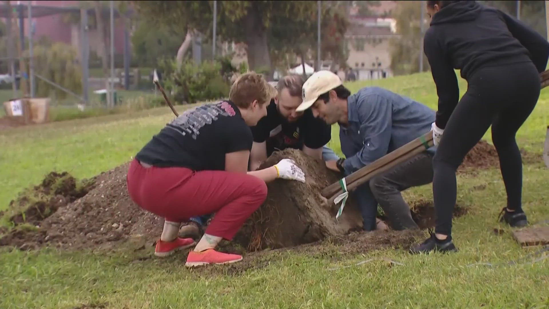 San Diego plants 60 trees in Colina Del Sol Park | cbs8.com