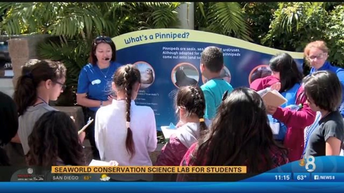 SeaWorld conservation science lab for children | cbs8.com