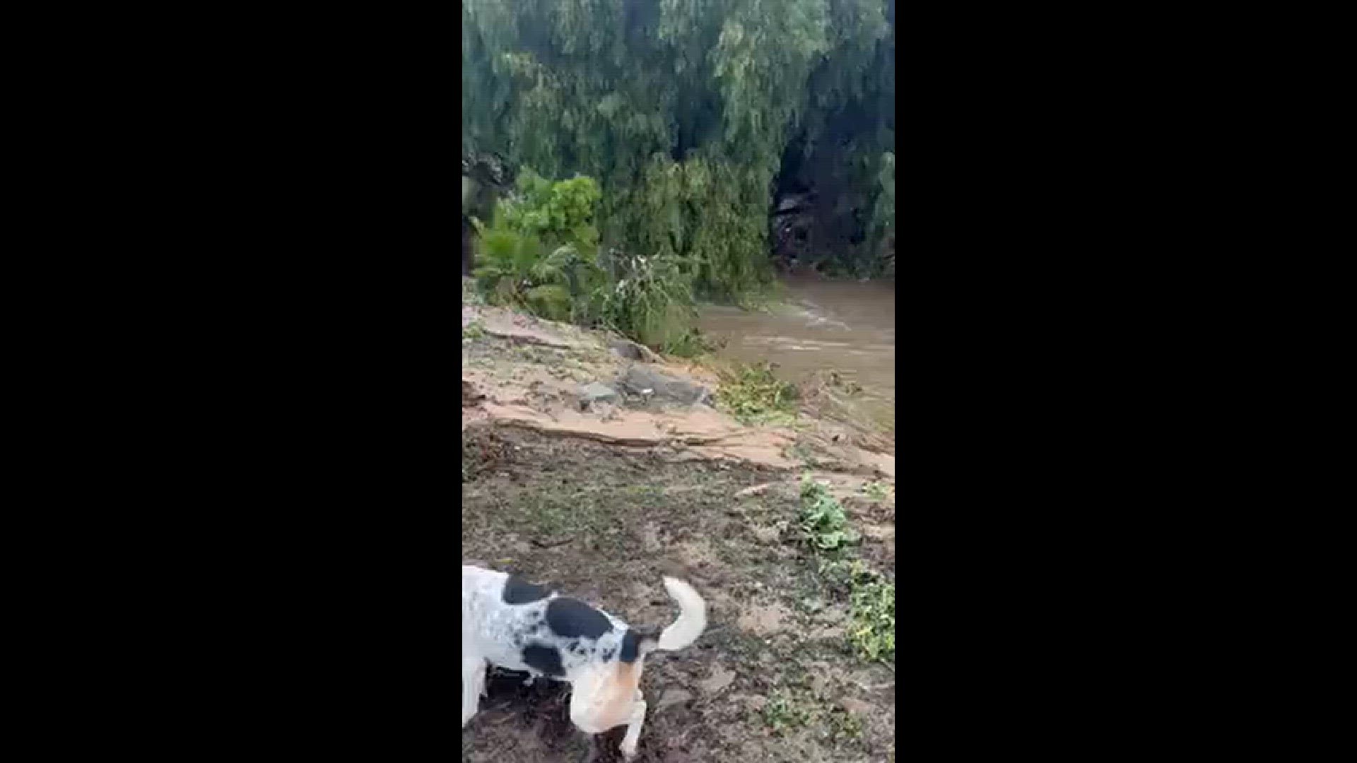Flood Aftermath | cbs8.com