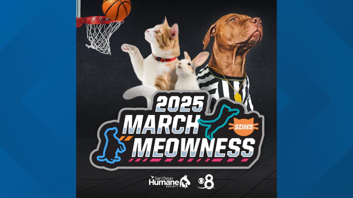 San Diego Humane Society : March Meowness 2025 | cbs8.com