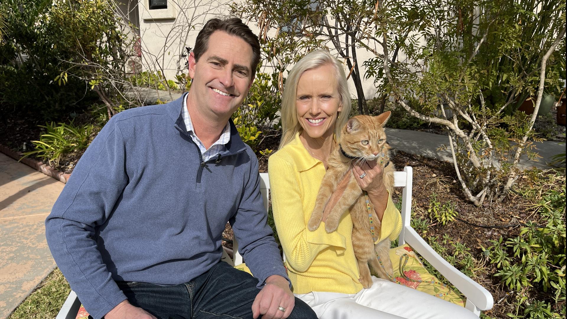 Newsweek names Encinitas' very own, Noah the orange tabby 'Pet of the ...
