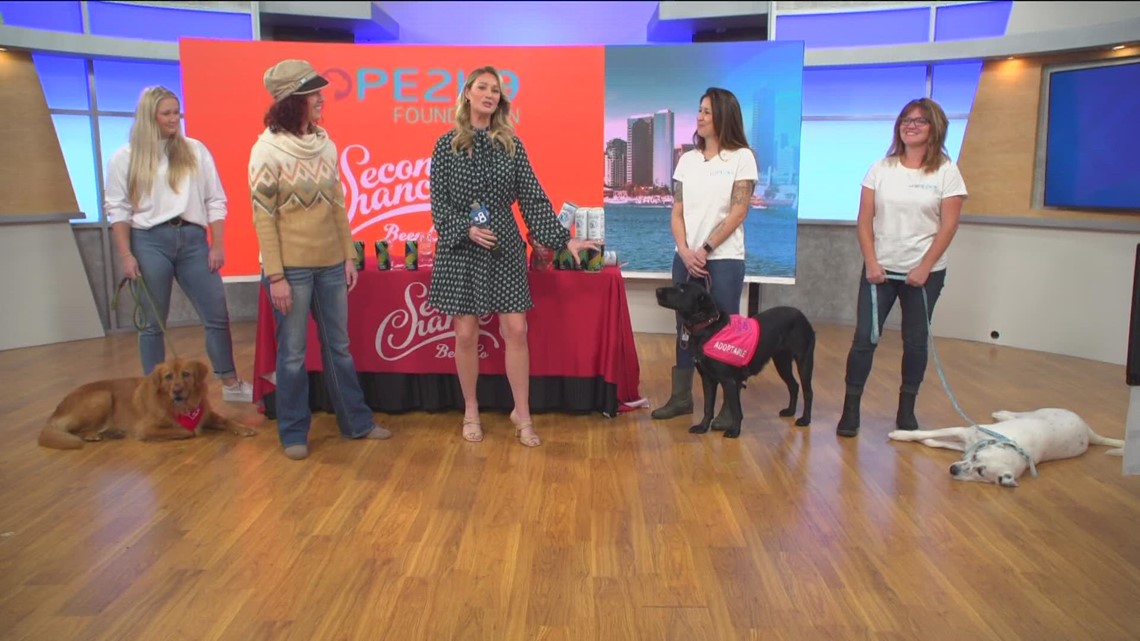 Where can I find an internship during COVID-19? | cbs8.com