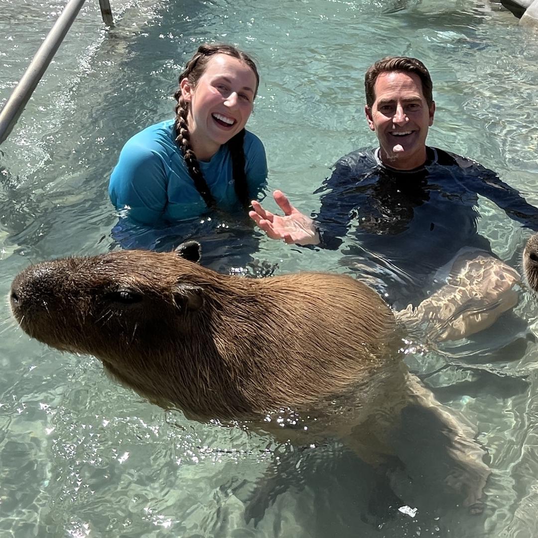 Swim with capybaras at Nurtured by Nature in California | cbs8.com