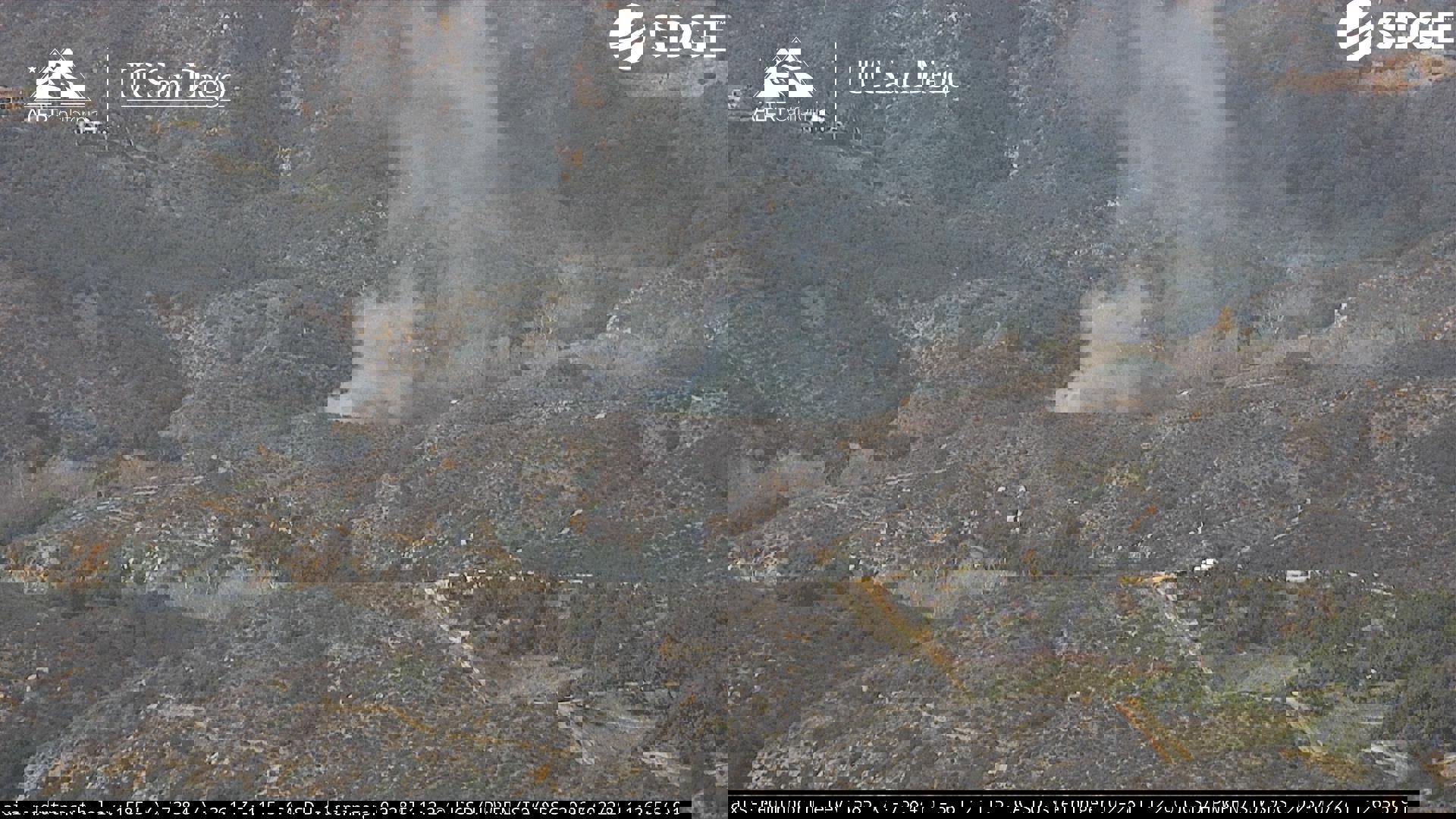 De Luz fire arsonist no-show in court, second time this week | cbs8.com