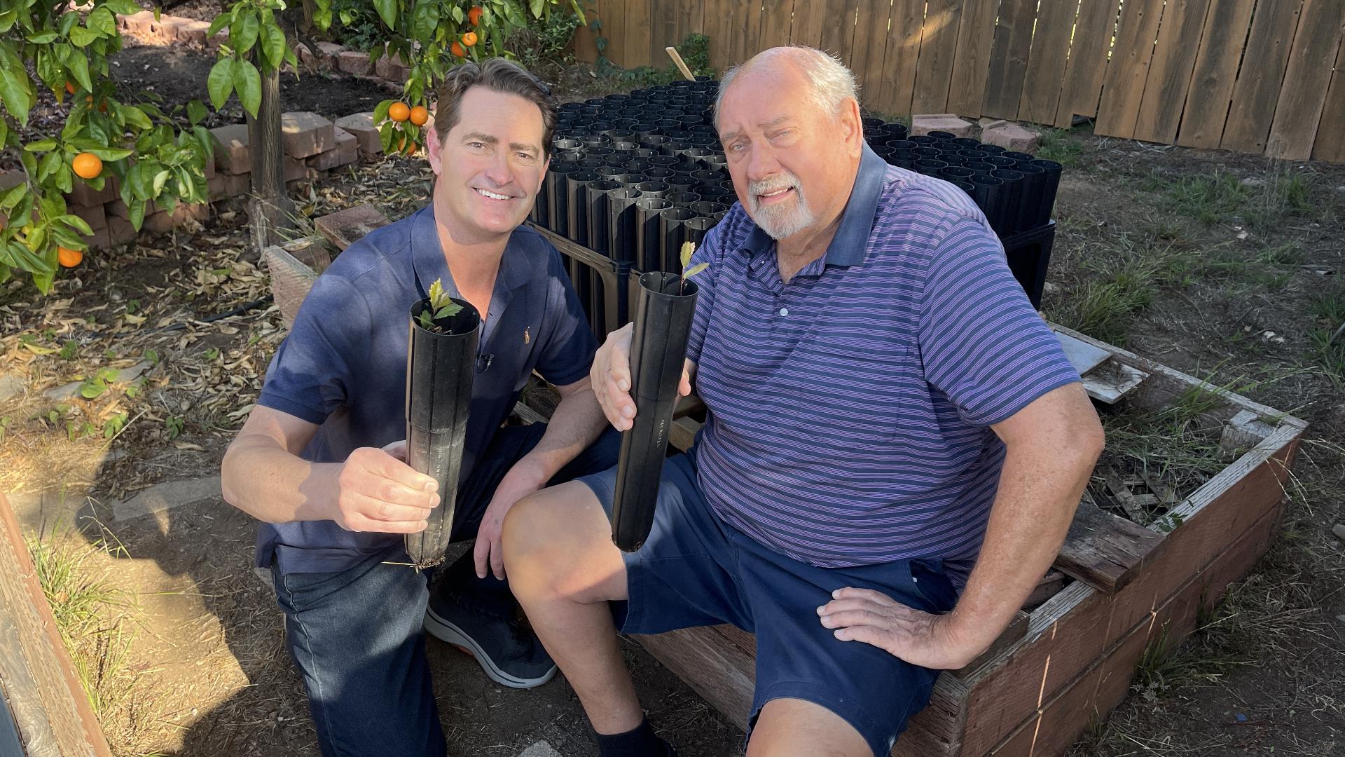 Escondido man's mission: Plant 20,000 oak trees | cbs8.com