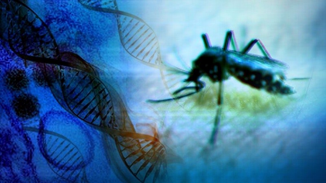 UCSD scientists studying gene-editing to control disease-carrying ...