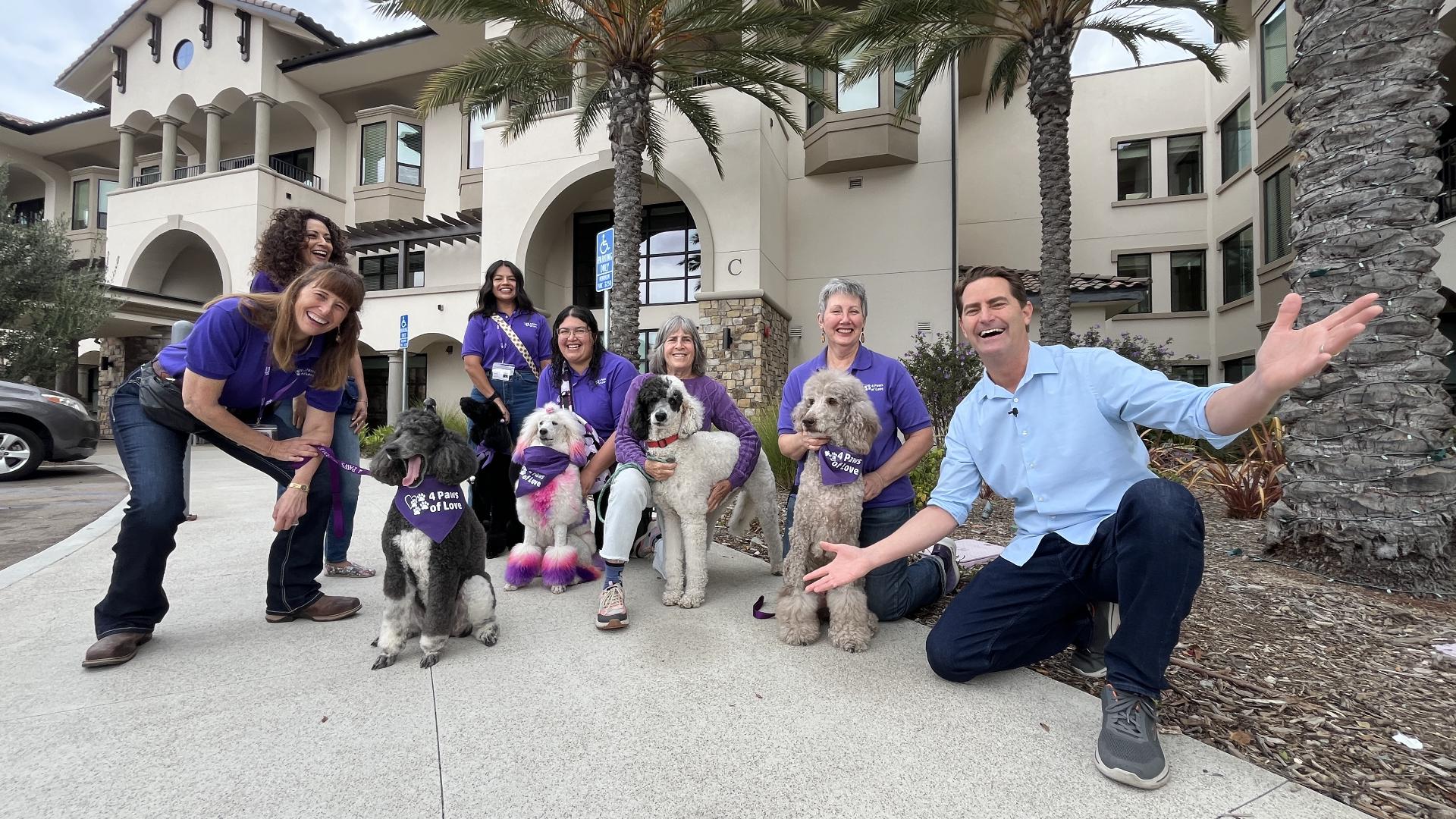 Therapy poodles bring joy to San Diego seniors | cbs8.com