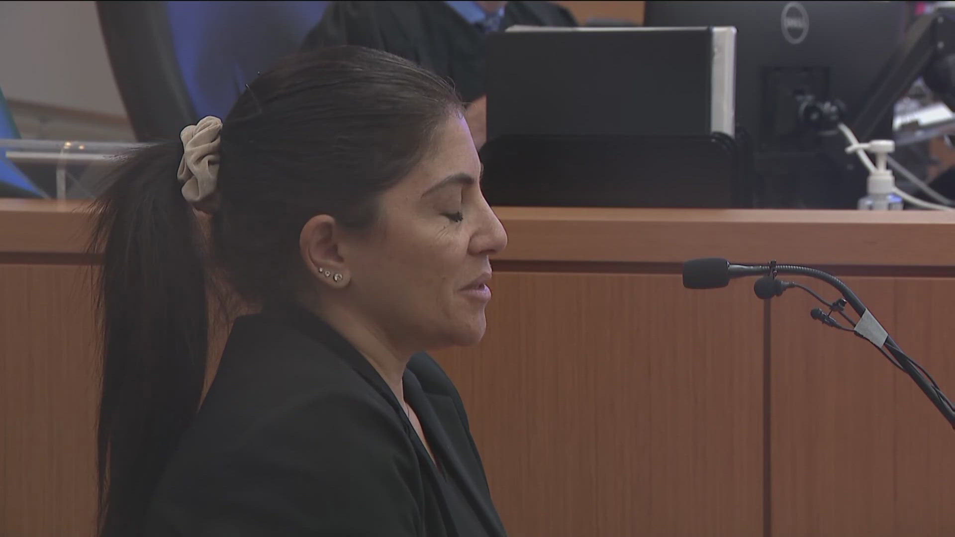 Double homicide trial | Mother of the accused takes the stand ...