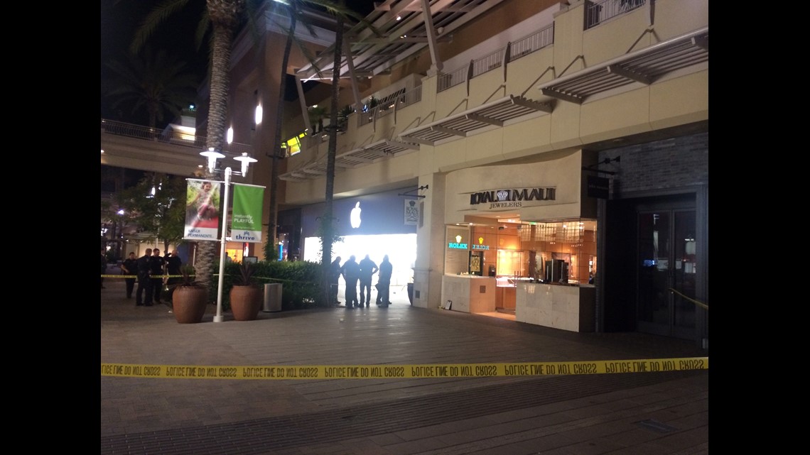 Two men accused of robbing jewelry store at gunpoint plead guilty ...