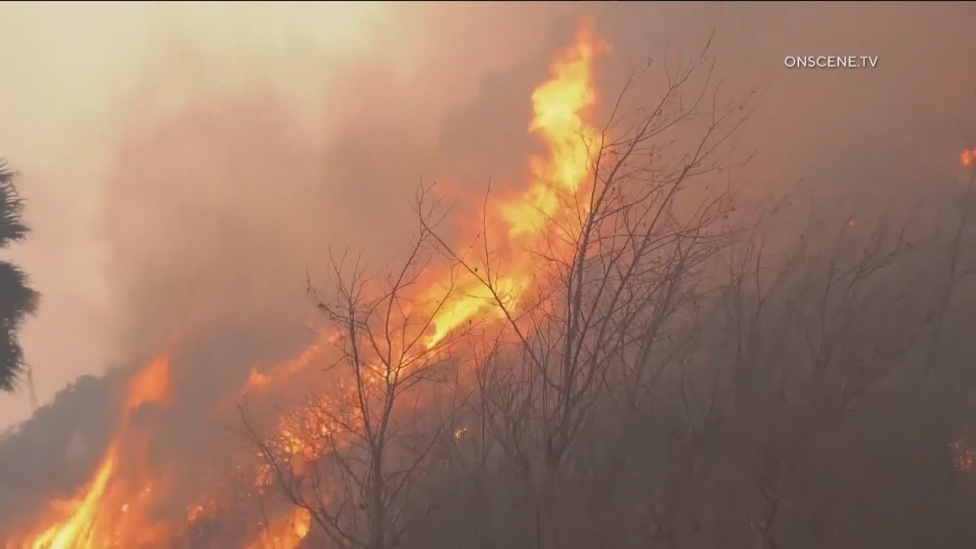 Brush fire, smoke, flames, any evacuations, map in Escondido | cbs8.com