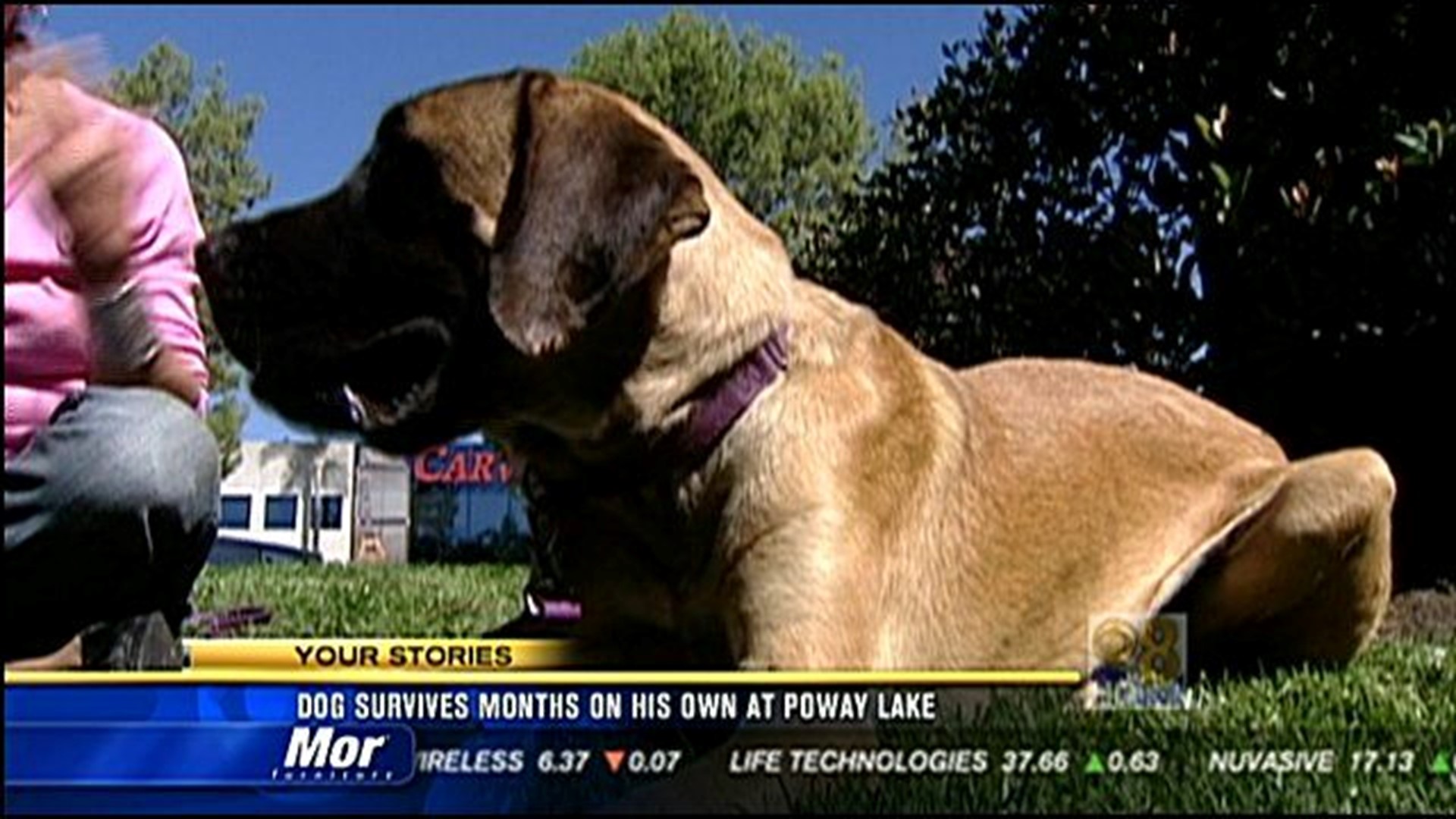 Dog survives months on his own at Poway Lake | cbs8.com
