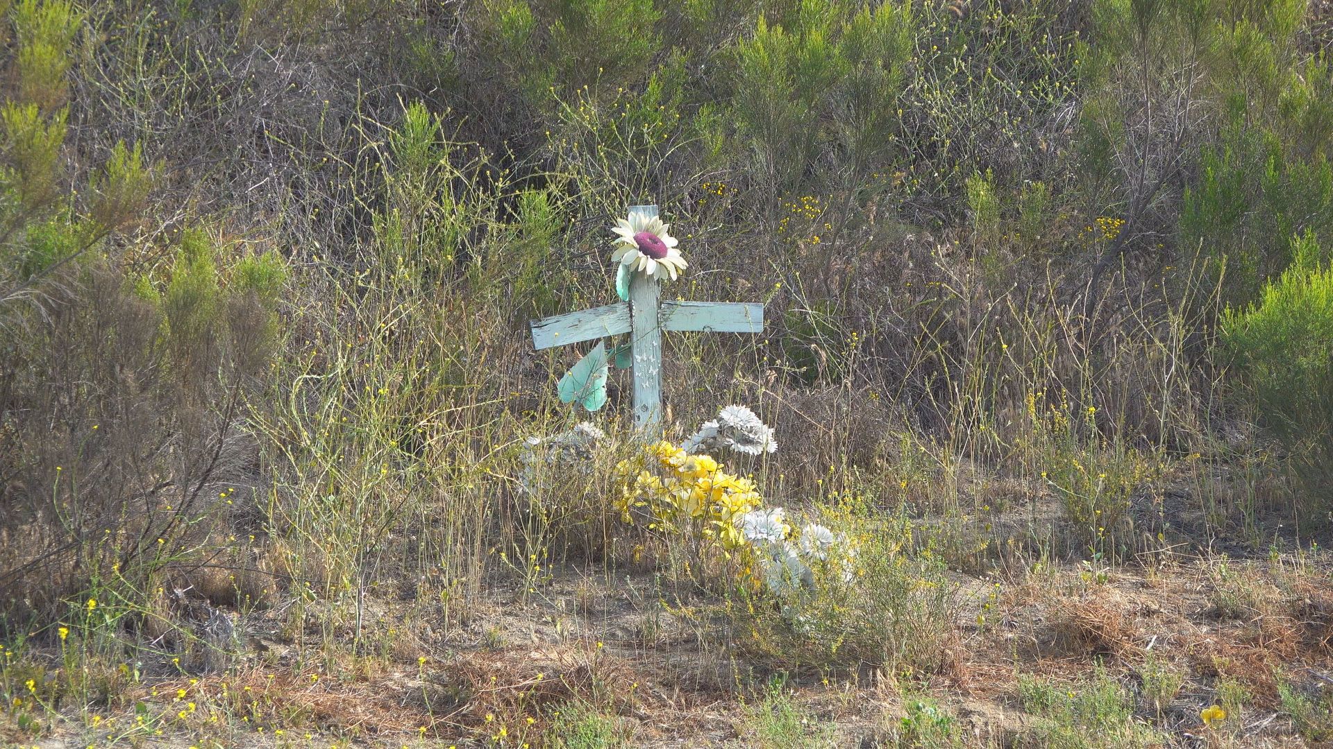 San Diego double murder cold case: Suspect denies guilty admission ...
