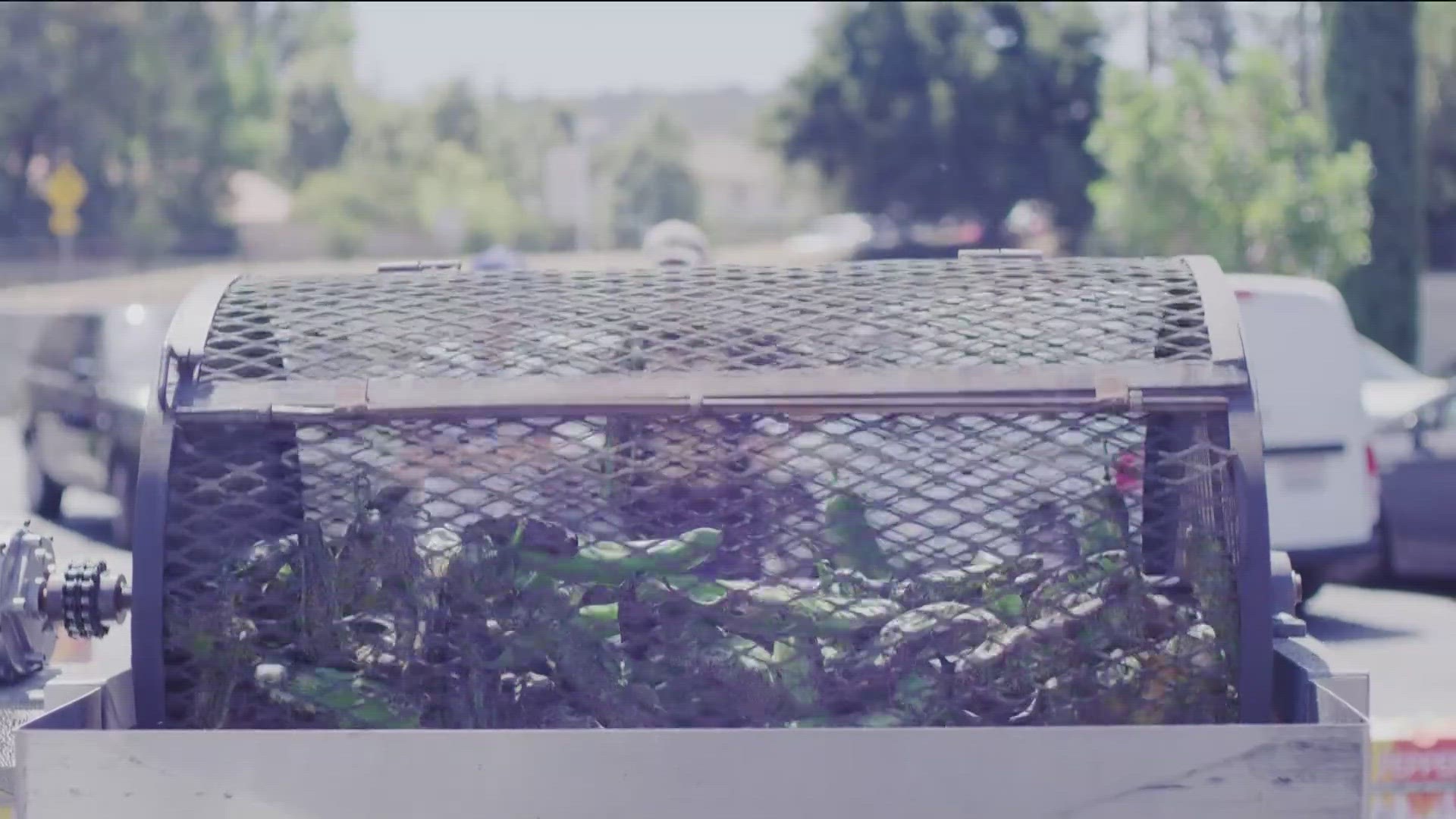 Celebrating Hatch Chiles with Gelson's on CBS 8's Backlot | cbs8.com