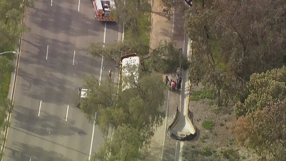 Watch: Chopper 8 captures school bus crash into tree | cbs8.com