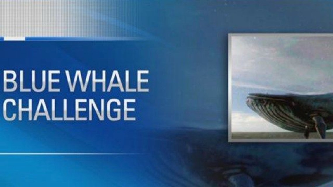 Blue Whale Challenge: Can dangerous social media game lead to suicide ...