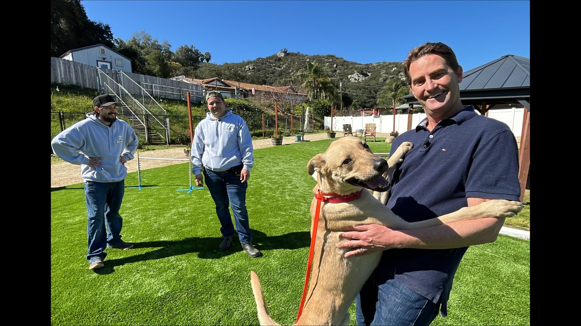 Dank Dogs Ranch and Rescue in Valley Center | cbs8.com