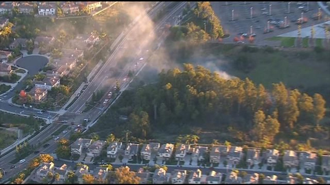 Crews contain small brush fire in Torrey Highlands | cbs8.com