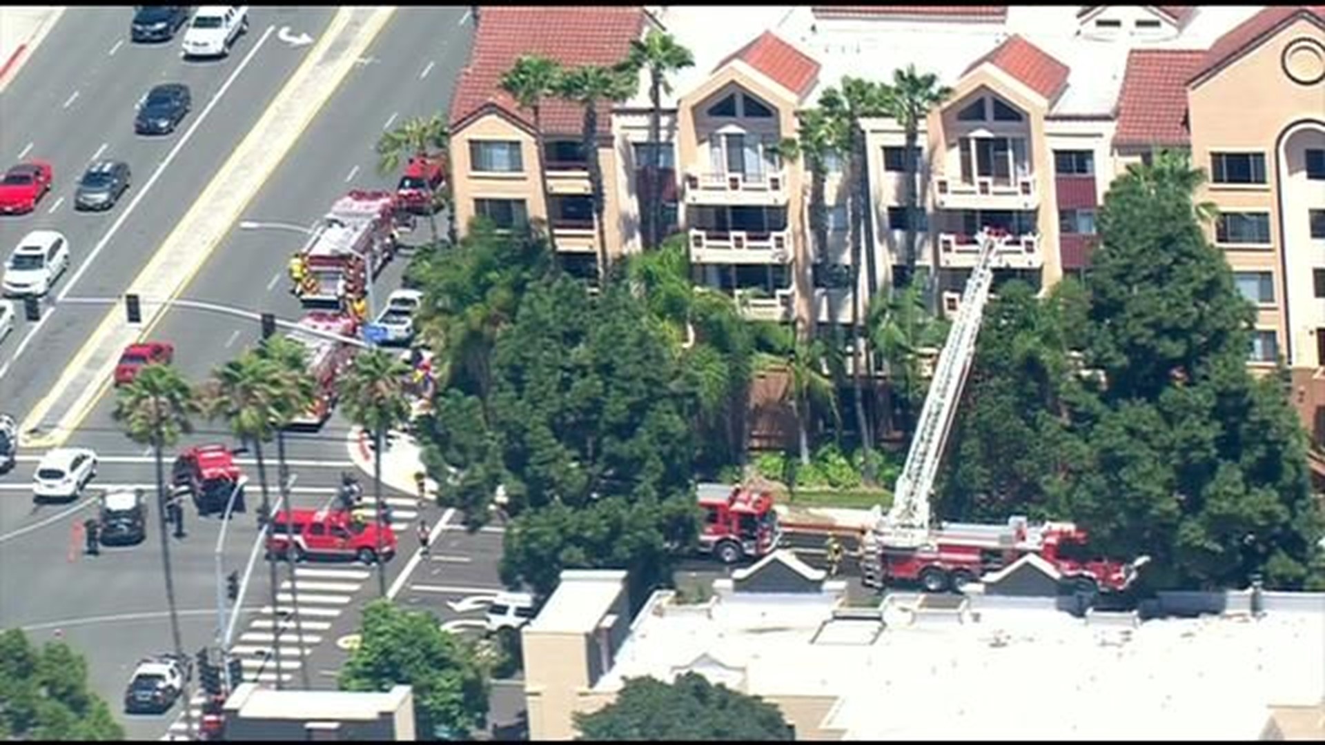 Careless smoking leads to high-rise apartment fire in University City ...