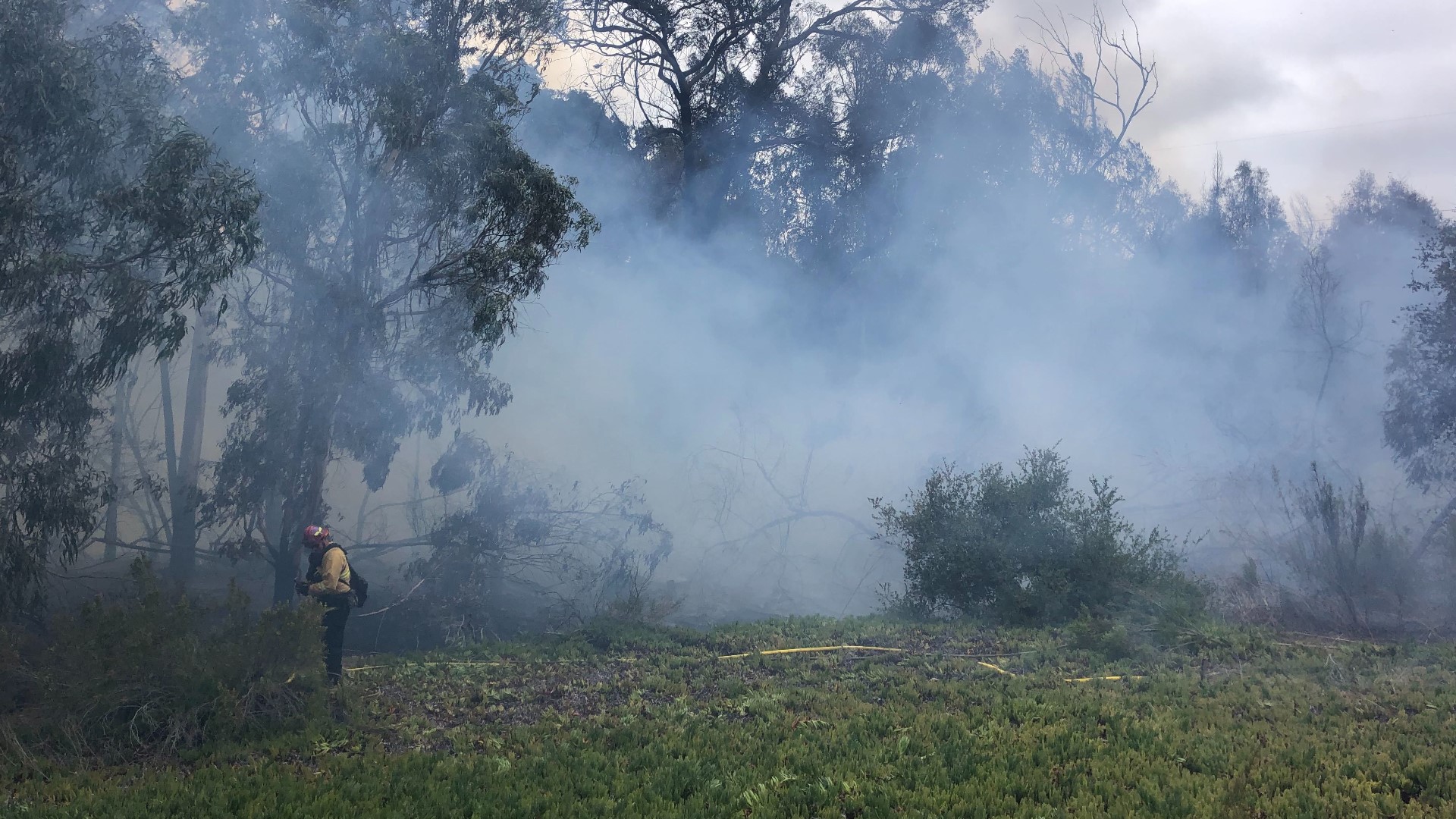 Vegetation fire in carlsbad near palomar airport road contained | cbs8.com