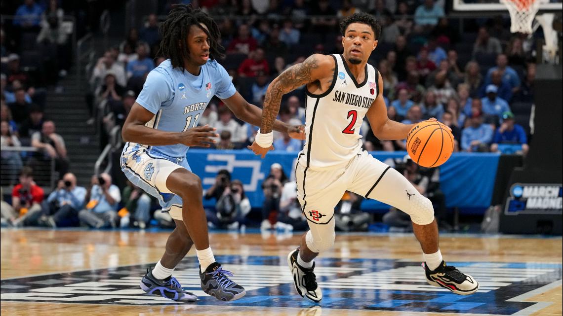 'Save This Life' pet microchip company shuts down | cbs8.com